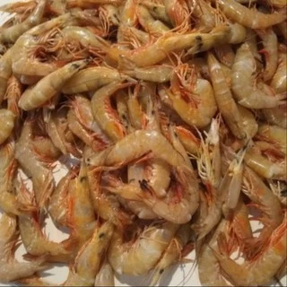 Jual Udang Per Kg Terlengkap & Harga Terbaru Maret 2026 | Shopee Indonesia