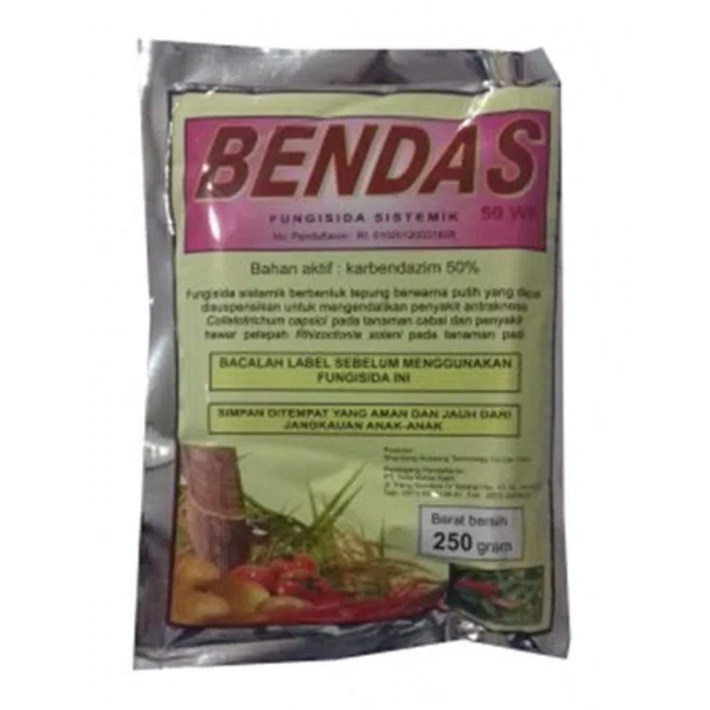 Jual Bendas 50 WP (250 gr) | Shopee Indonesia