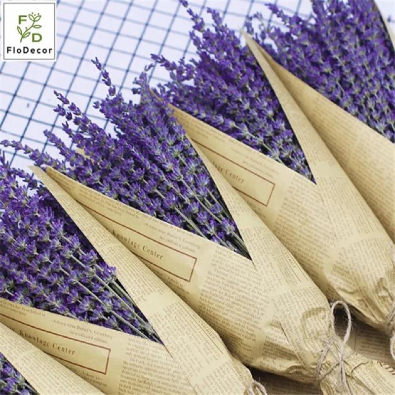 Jual LAVENDER Dried Flowers Kamilem Hiasan Buket Bunga Kering Dekorasi ...