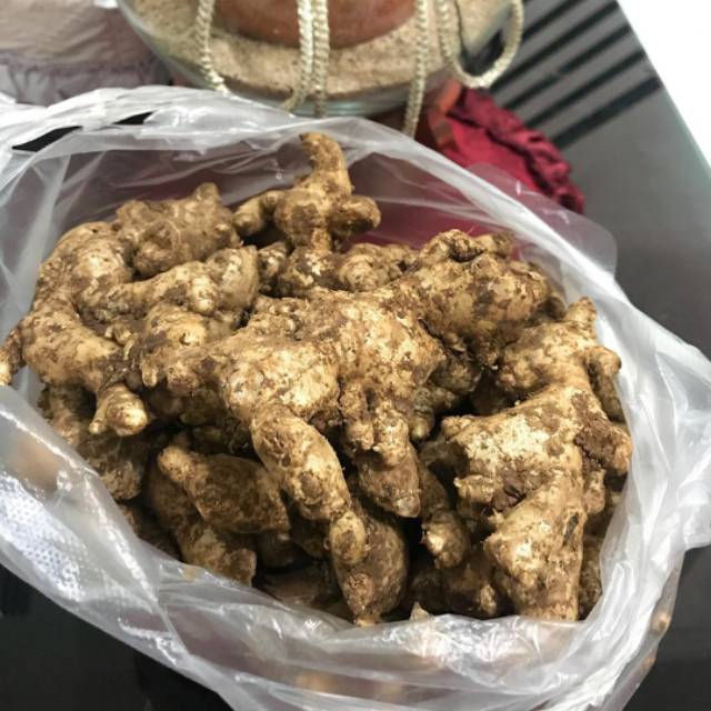 Jual Jahe Emprit Segar | Shopee Indonesia Jual Jahe Emprit Segar | Shopee Indonesia