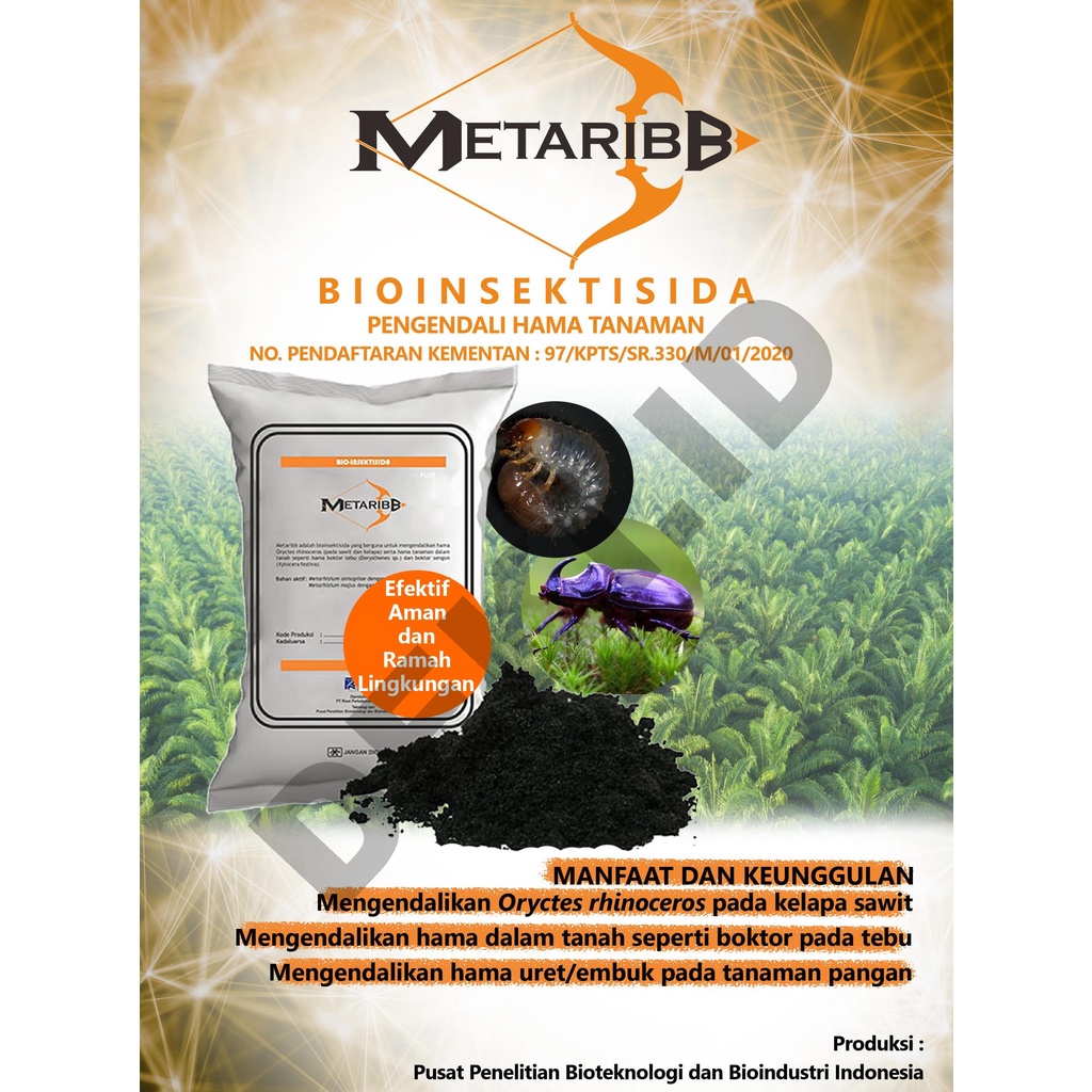 Jual Insektisida Organik Metarhizium Metaribb 1kg Pestisida Jamur ...