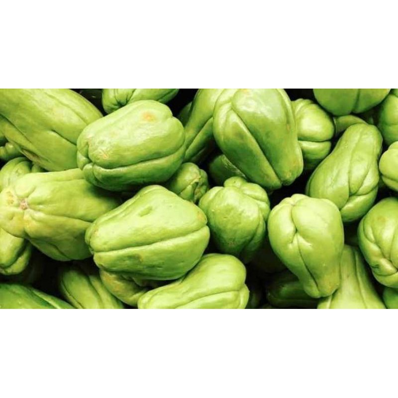 Jual Labu Siam lalapan kecil Segar - 500 Gram | Shopee Indonesia