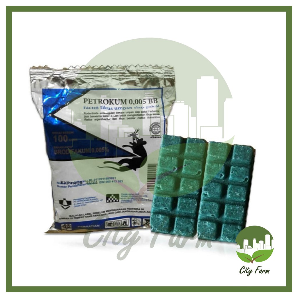 Jual PETROKUM RMB (100 GR) | Shopee Indonesia