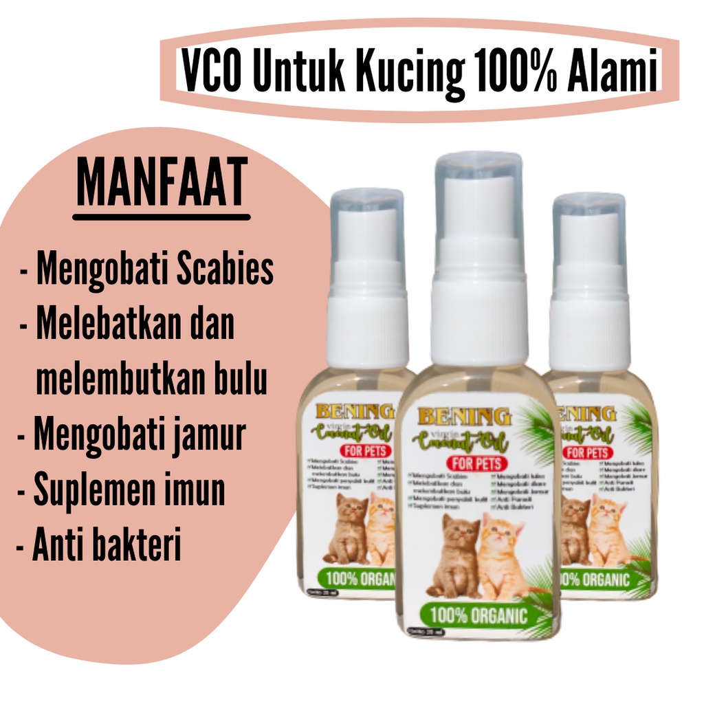Jual Minyak VCO Obat Jamur Scabies Untuk Kucing Dan Anjing Virgin ...