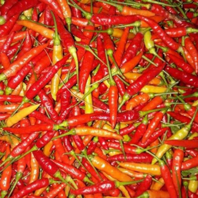 Jual Aneka jenis cabai cabe / cabe rawit, cabe hijau, cabe merah ...