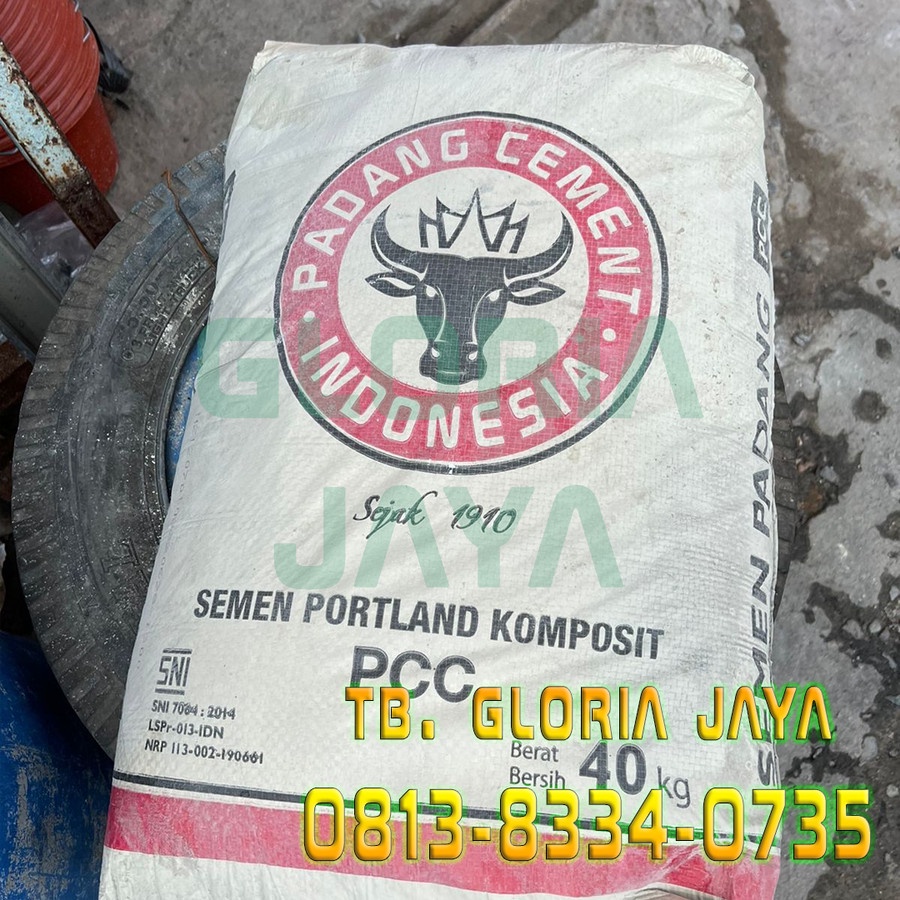 Jual semen padang sak 40 kg | Shopee Indonesia