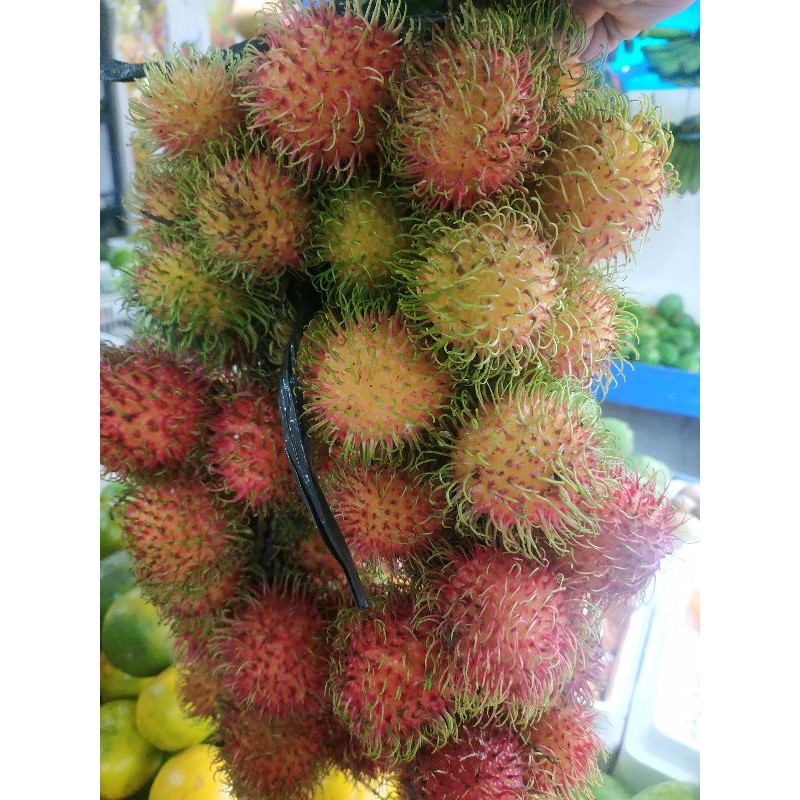 Jual Buah Rambutan AC ( 1 gedeng isi 2 ikat ) manis | ud sidomulyo ...