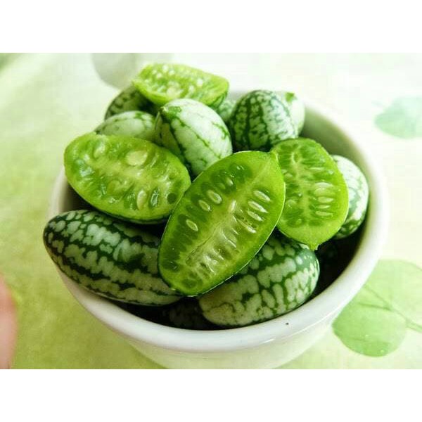 Jual Benih Biji Timun Unik Cucamelon | Shopee Indonesia