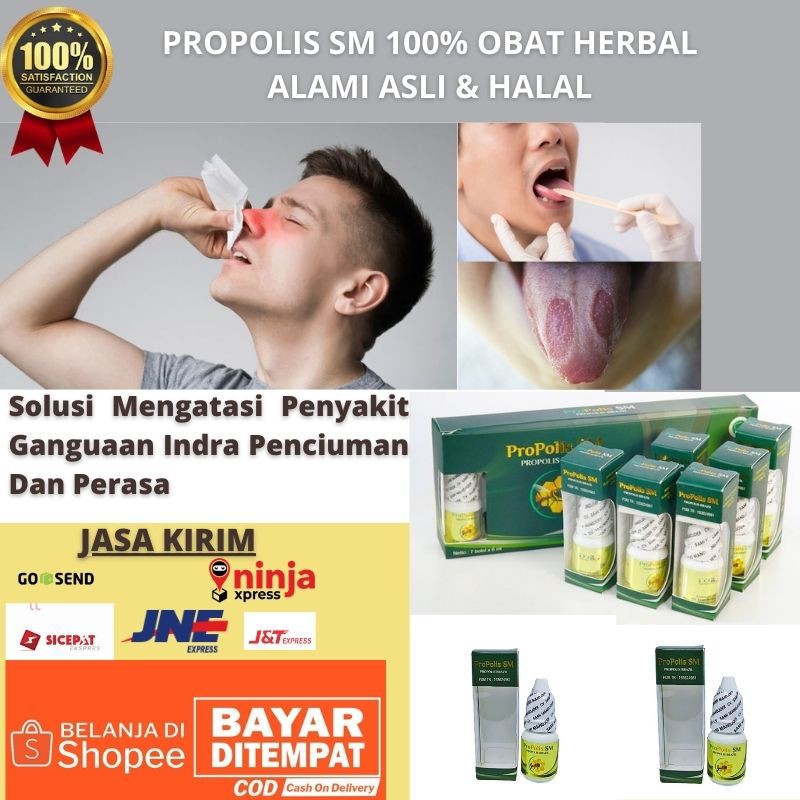 Jual Obat Untuk Mengembalikan Indra Perasa Dan Penciuman,Untuk Penyakit ...