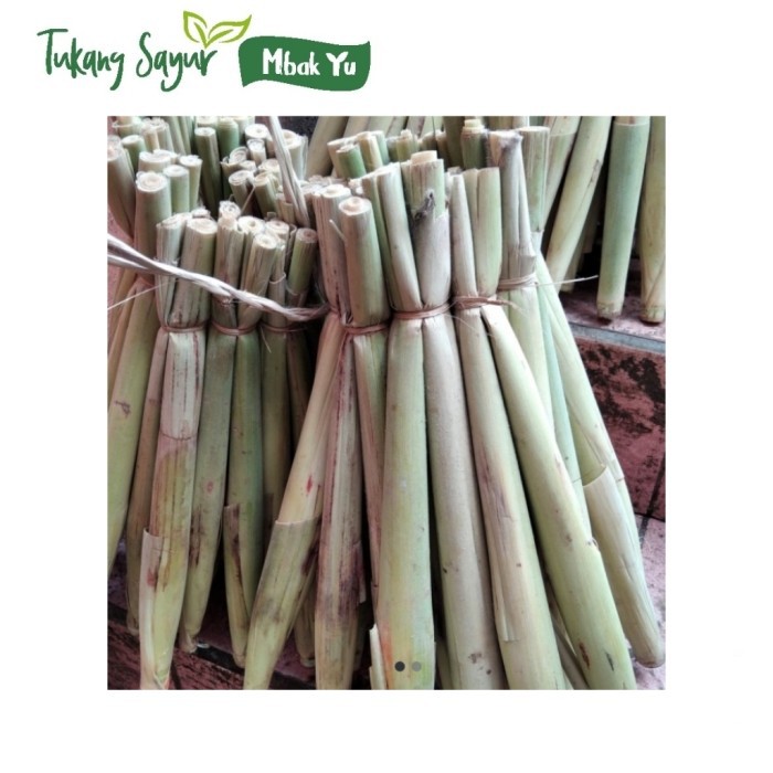 Jual telor tebu - terubuk - kembang tebu 1ikat isi 4 | Shopee Indonesia