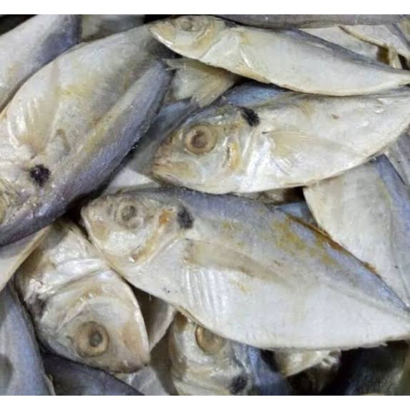 Jual Ikan asin lapan 100 gr | Shopee Indonesia