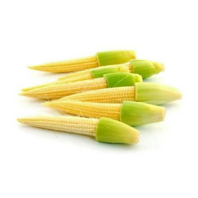 Jual Jagung putren atau jagung baby segar | Shopee Indonesia