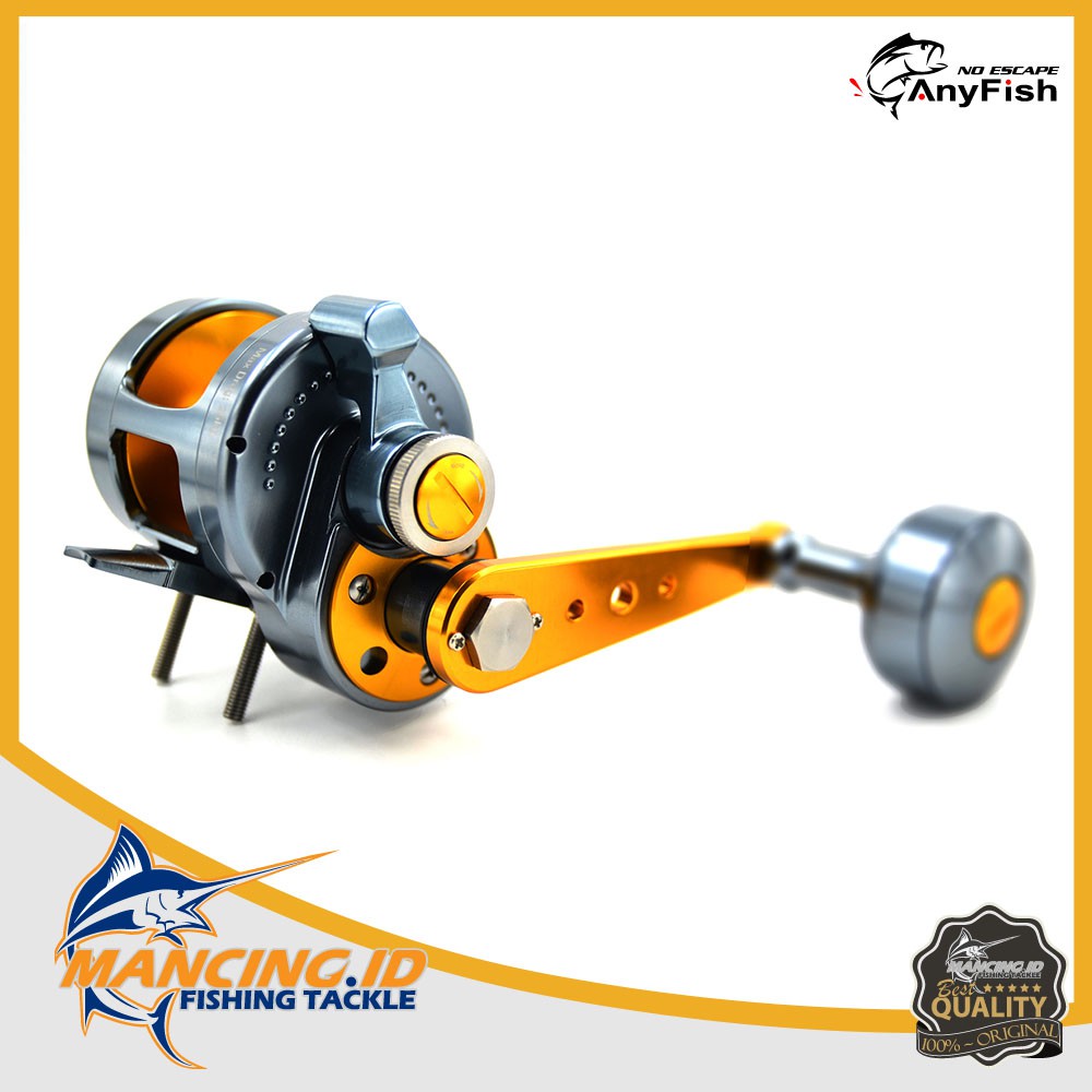 Jual Fishing Reel Jigging Anyfish Power Jig PE3 PE4 LEFT / RIGHT ...