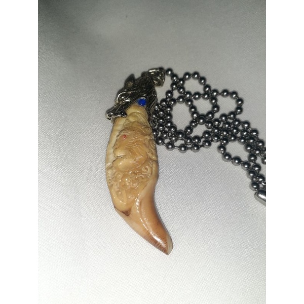 Jual Taring beruang asli sudah di ukir | Shopee Indonesia