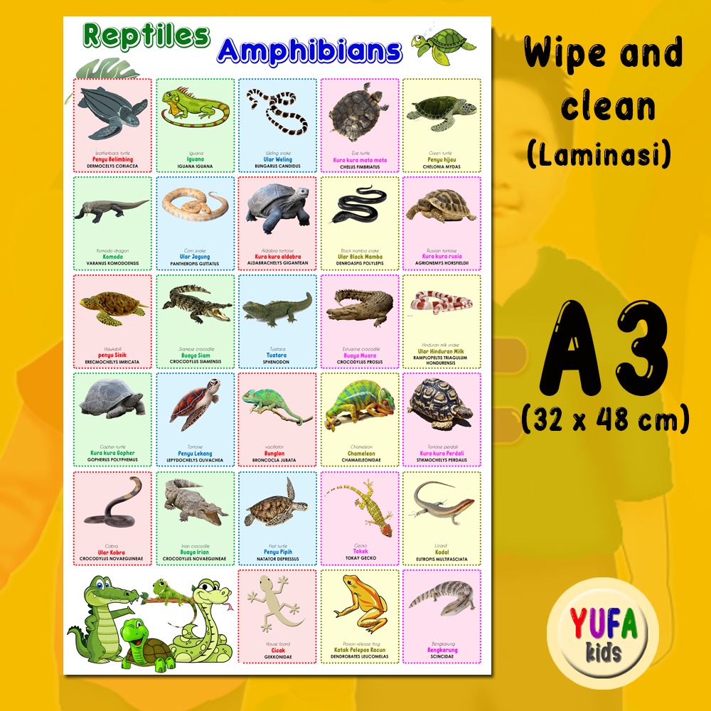 Jual 119 poster hewan reptil- Poster Edukasi Anak - Poster belajar anak ...