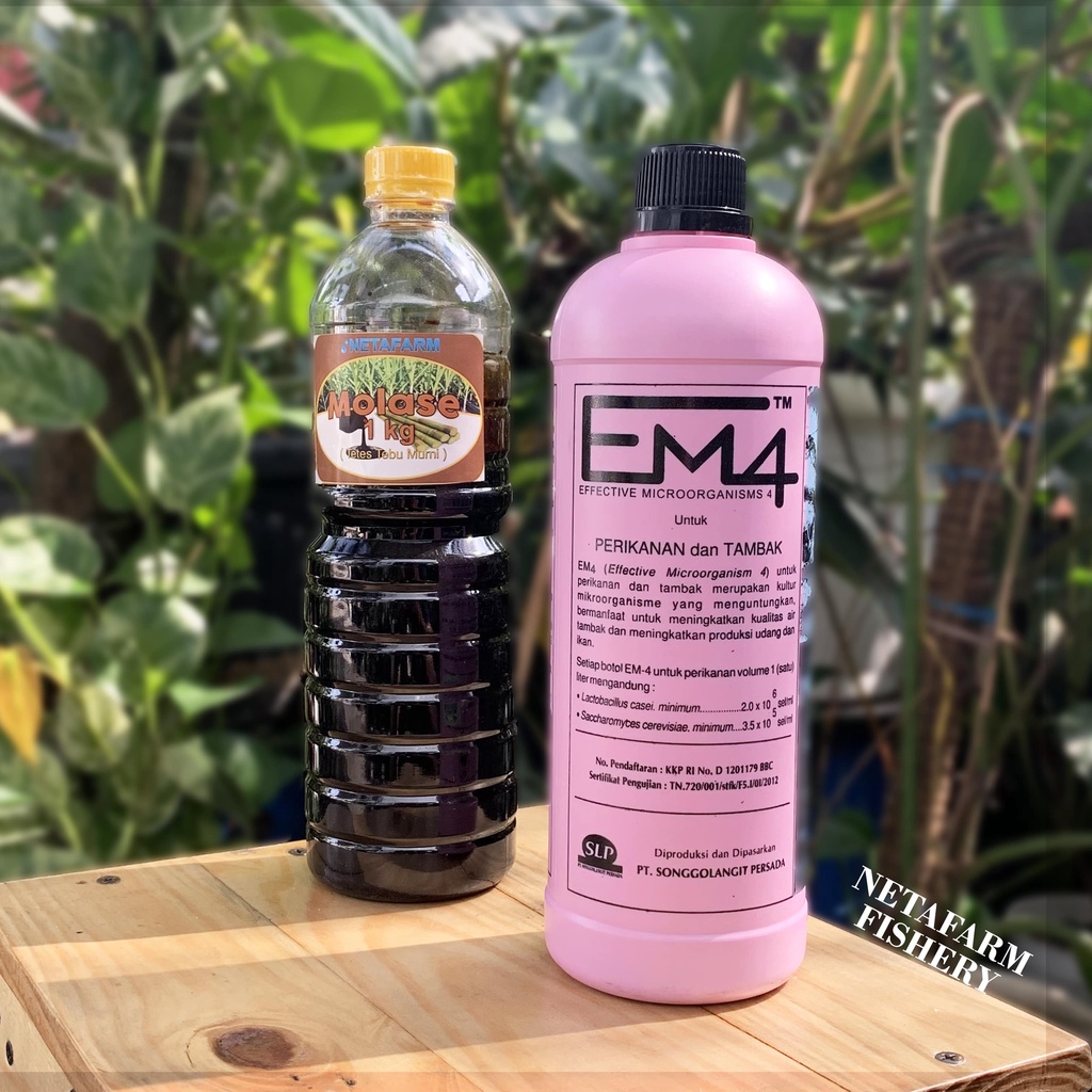 Jual Paket EM4 PERIKANAN 1 Liter + MOLASE 1kg | Shopee Indonesia