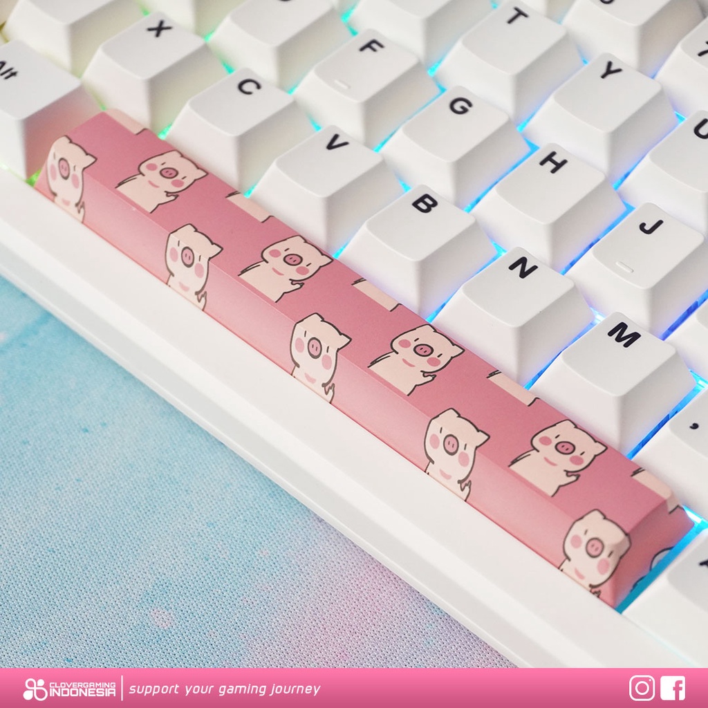 Jual Keycaps CLV Spacebar PBT Dye Sub - 6.25u Space Bar | Shopee Indonesia