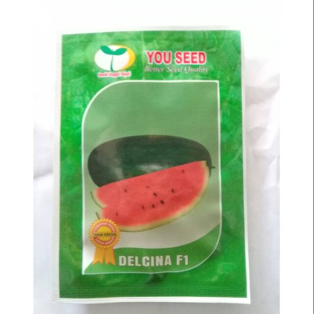 Jual SEMANGKA INUL DELCINA F1 | Shopee Indonesia