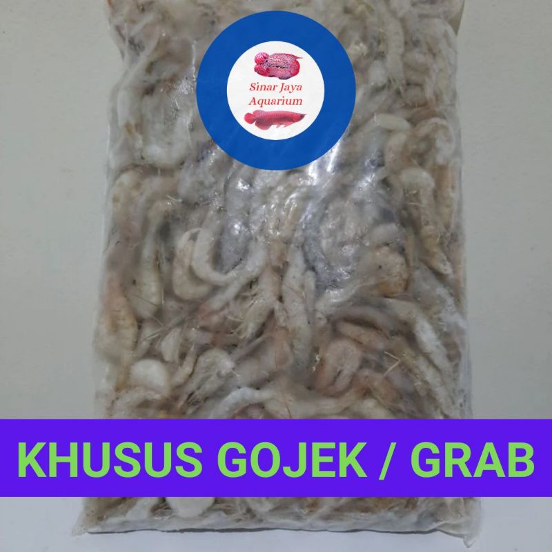 Jual Udang Api Kecil 500 gram / Udang Api Beku Pakan Arowana Arwana ...