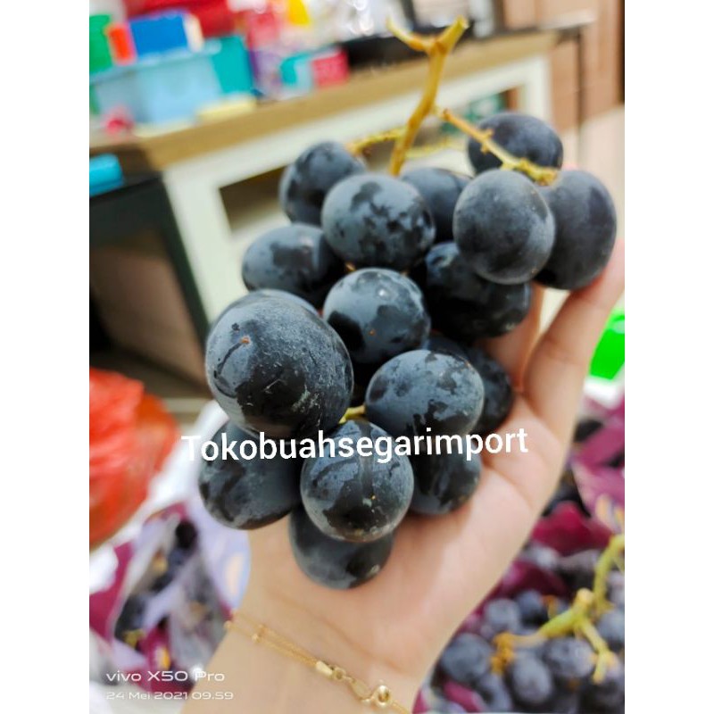 Jual anggur adora seedless MANIS 1 KG | Shopee Indonesia