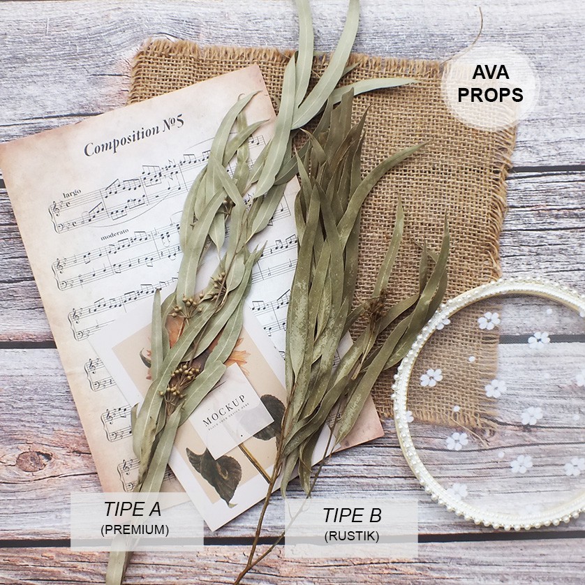 Jual Daun Kering Dried Eucalyptus Leaf Properti Foto Rustik Hiasan Vas ...