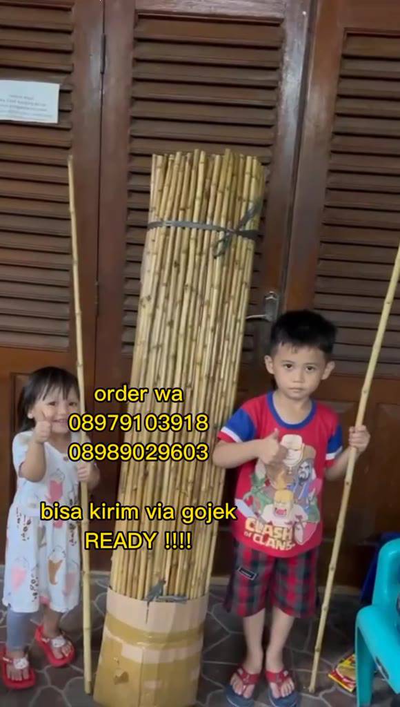 Jual batang bambu lurus panjang 150cm bisa gojek | Shopee Indonesia