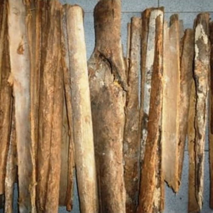 Jual Juwet Duwet Jambu Keling Jamblang Kulit Kayu Kering Serbuk atau ...