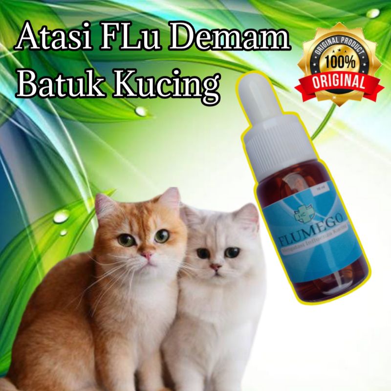 Jual flu cat obat kucing demam batuk | Shopee Indonesia
