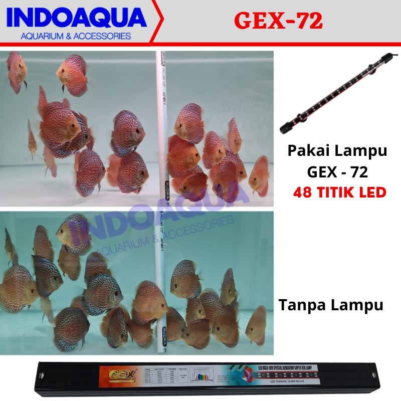 Jual INDOAQUA - Lampu Aquarium Celup For Tank 80 cm 16 Watt | Lampu Taning Arwana Louhan Koki ...
