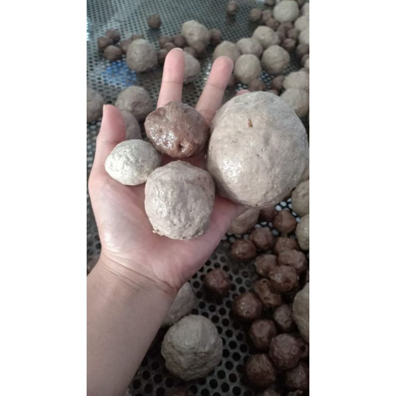 Jual (SATUAN)BAKSO/BASO IKAN SINAR BAHARI JUMBO RUDAL | Shopee Indonesia