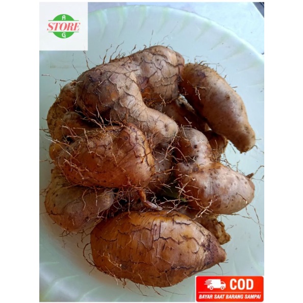 Jual Gembili ubi ubian fresh 1kg ( Beli 10kg free 1kg ) | Shopee Indonesia