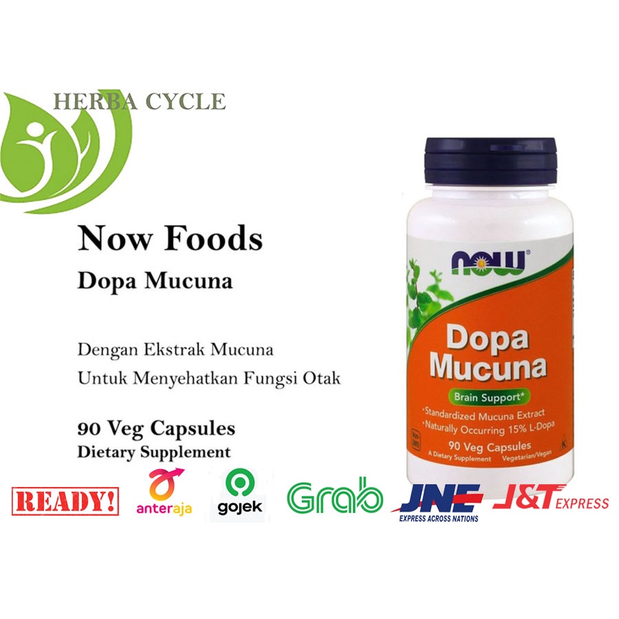 Jual Now Foods Dopa Mucuna 90 Veg Now Food Dopa Mucuna Ori US Mood ...