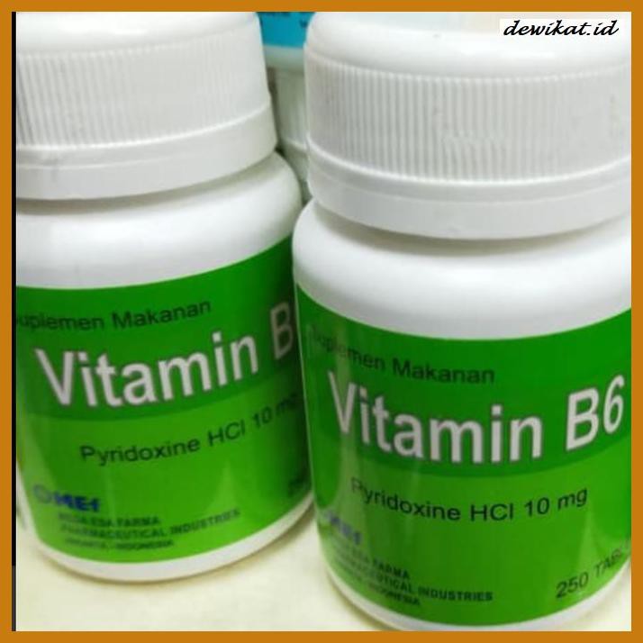Jual bnimativ- vitamin b6 mef isi 250 tab -aa178to. | Shopee Indonesia