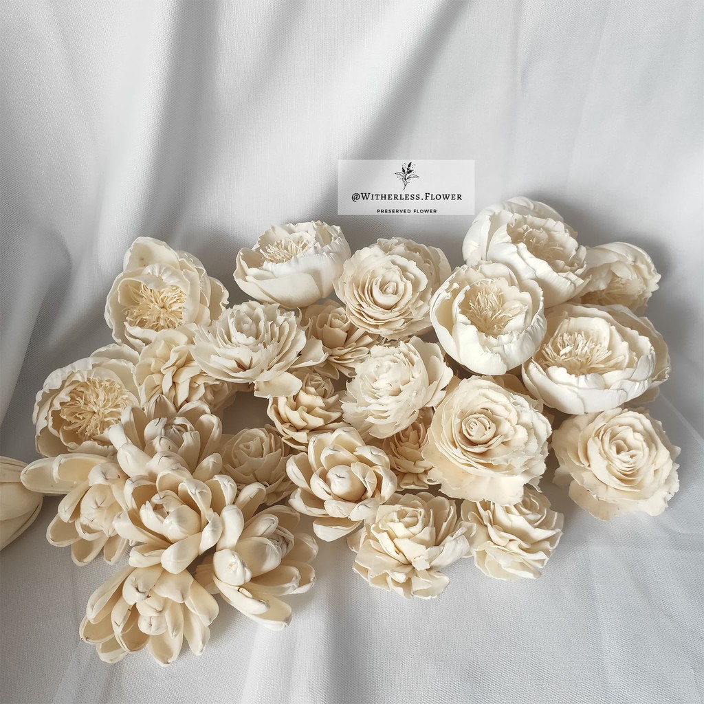 Jual Bunga Sola Wood Flowers 6 CM / Bunga Kayu | Shopee Indonesia