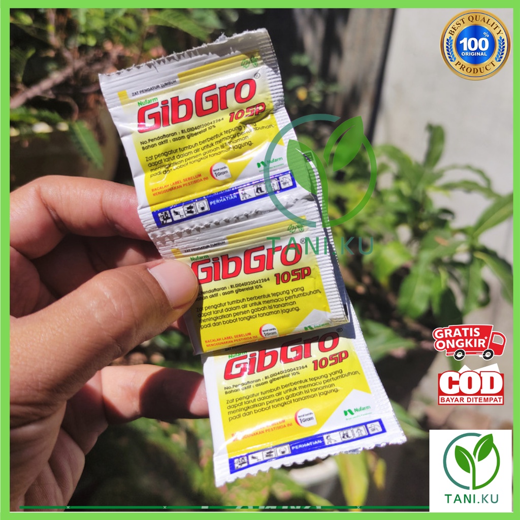Jual GIBGRO - 10SP - 1 gram - PUPUK ZPT GIBERELIN - PEMBESAR BUAH DAN ...