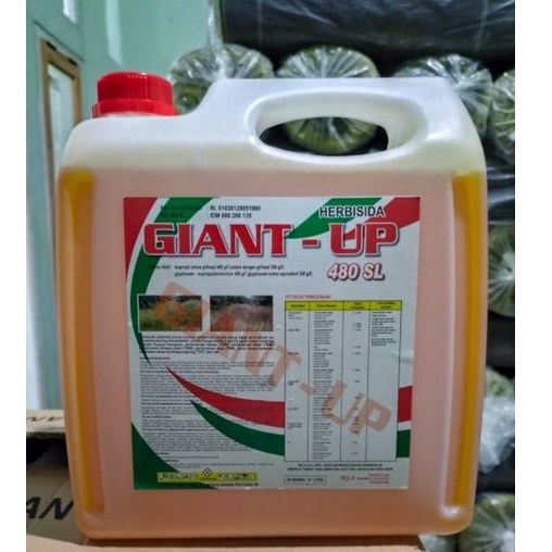 Jual Giant up 480 SL 5 Liter Herbisida Sistemik Glifosat 480SL | Shopee ...