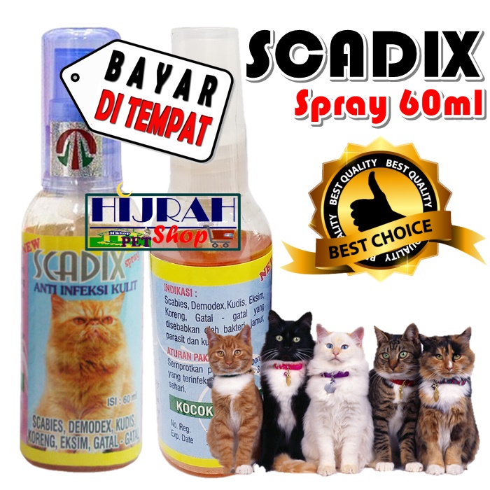 Jual Obat Kucing Obat Jamur Kucing Kutu Korengan Scabies Luka Demodex ...