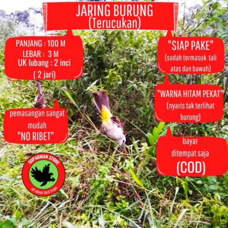 Jual JARING BURUNG TERUCUKAN JARING MANUK CUCAK TRUCUKAN CERUCUKAN ...