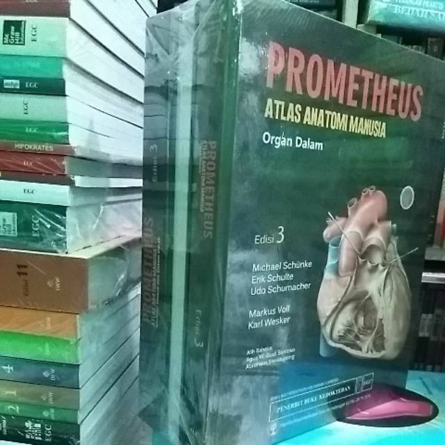 Jual PROMETHEUS ATLAS ANATOMI MANUSIA EDISI 3 VOLUME 1, 2, 3 | Shopee Indonesia
