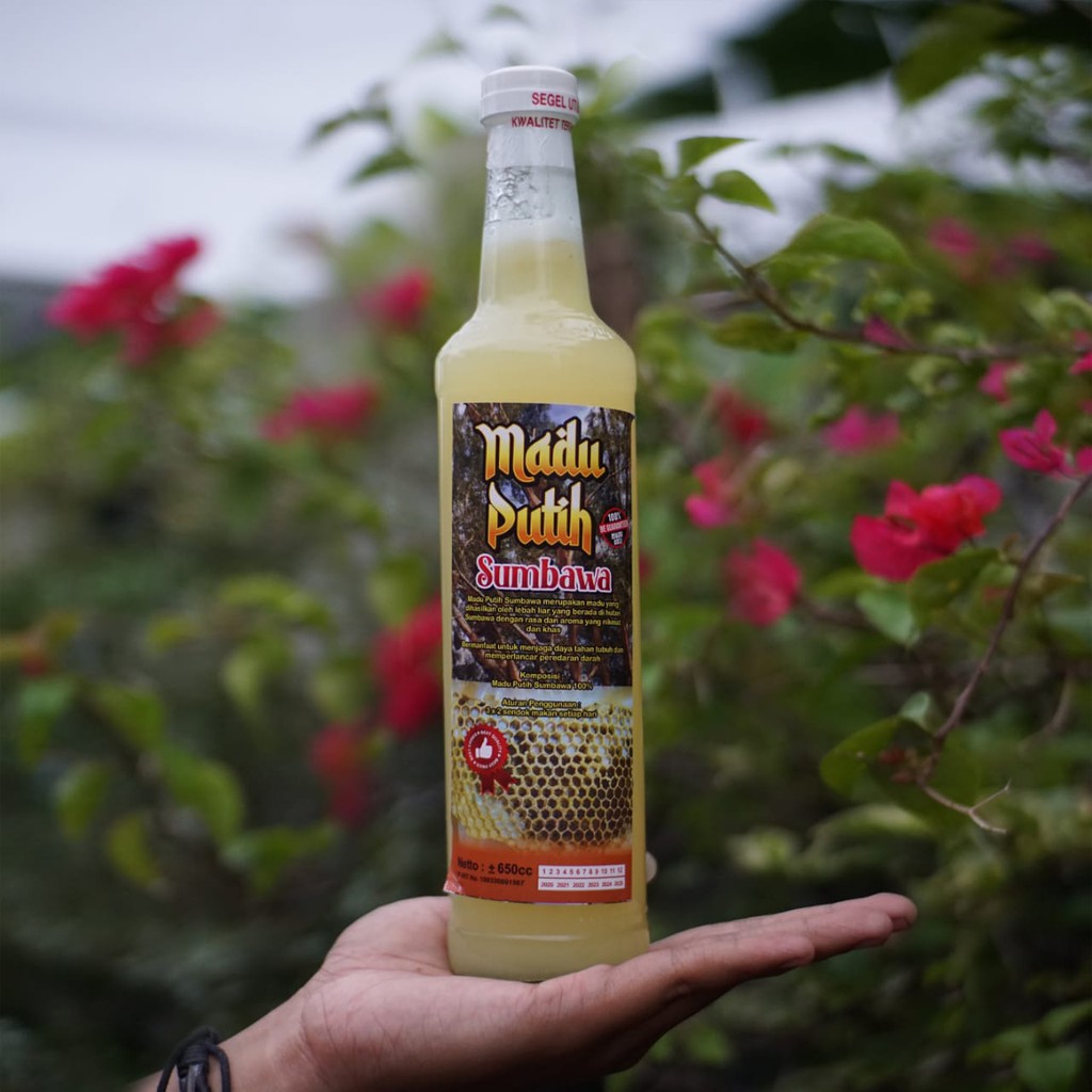 Jual PROMO MADU PUTIH SUMBAWA MURNI ASLI ( Distributor ) | Shopee Indonesia