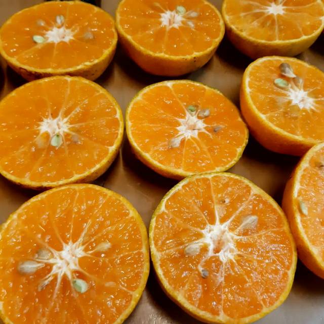 Jual Jeruk Peras Siam Jember | Shopee Indonesia