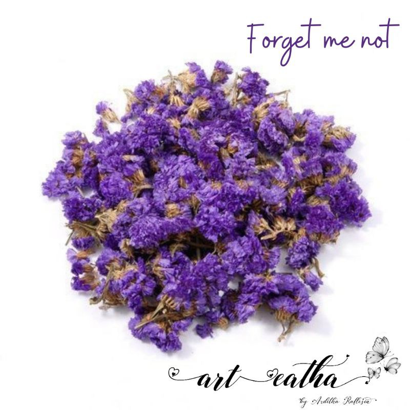 Jual Forget me not tea /Teh bunga forget me not | Shopee Indonesia
