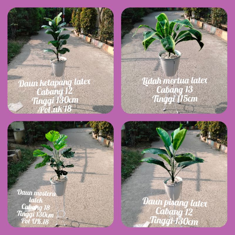 Jual DAUN MOSTERA,DAUN PISANG,DAUN KETAPANG ARTIFISAL PLUS STANDING ...