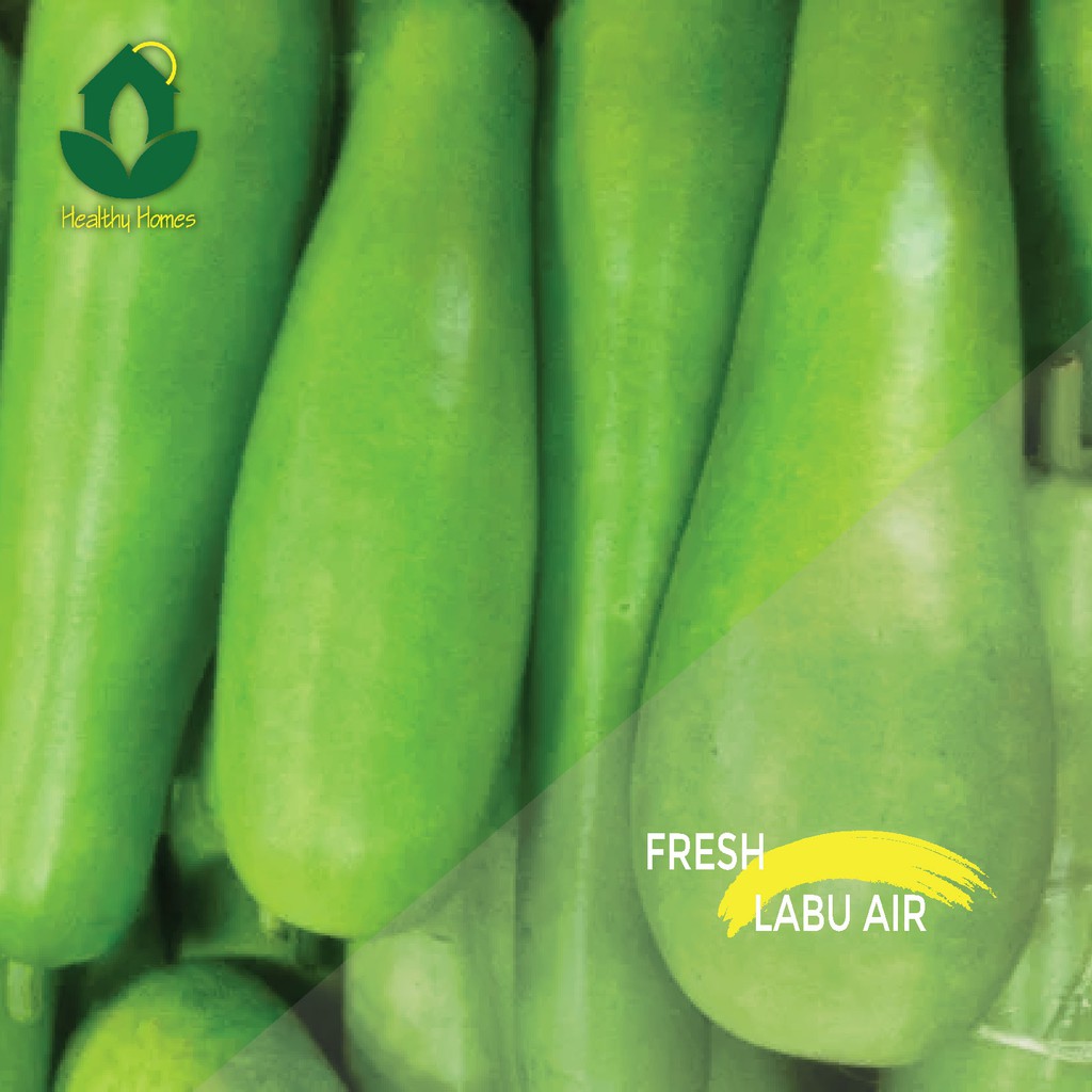 Jual Sayur Labu Air Jabodetabek | Shopee Indonesia