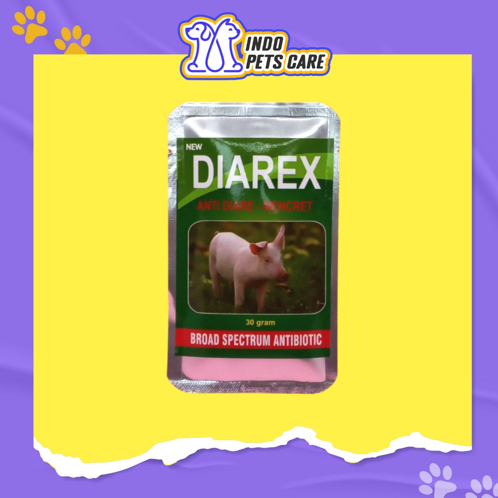 Jual OBAT DIARE BABI BUBUK - DIAREX PIG 10 POWDER ORIGINAL - SERBUK ...