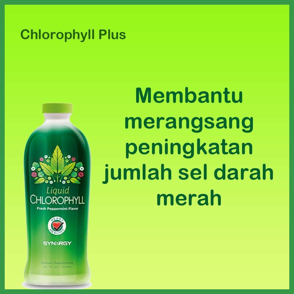 Jual Colostrum + Klorofil - Obat Tradisional Sakit Vertigo | Shopee ...