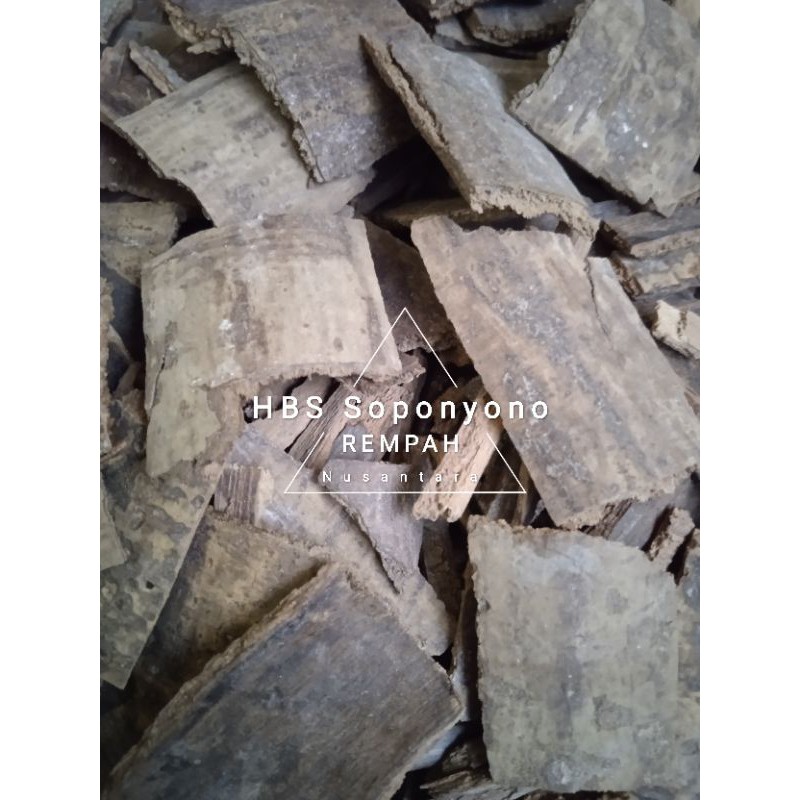 Jual Kayu Masoyi SUPER di kemas renteng, 50gr, 100gr, 250gr / Kayu ...