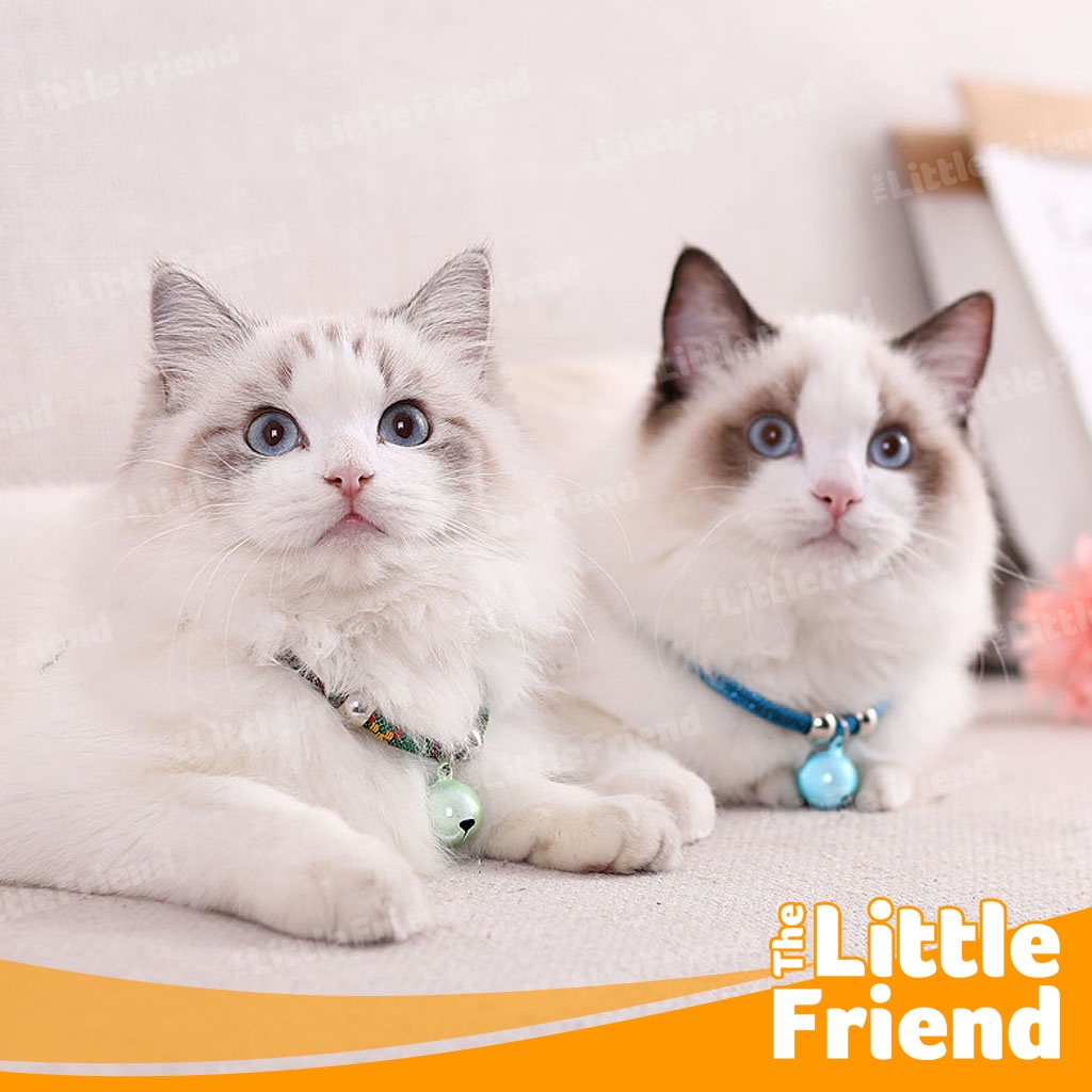 Jual Collar Kalung Kucing Anjing Bahan Tenun Multiple Banyak Warna ...