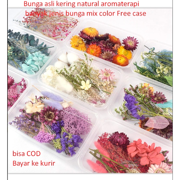 Jual Bunga asli kering natural aromaterapi banyak jenis bunga mix color ...