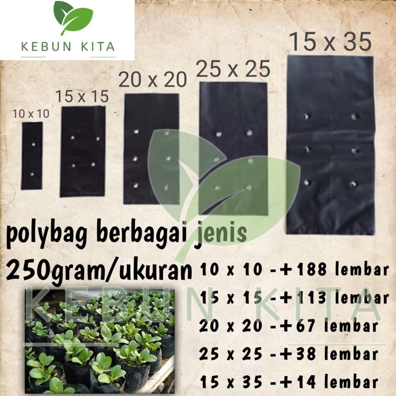 Jual POLYBAG BERBAGAI JENIS UKURAN 250Gram/uk. BIBIT SAWIT DAN TANAMAN ...